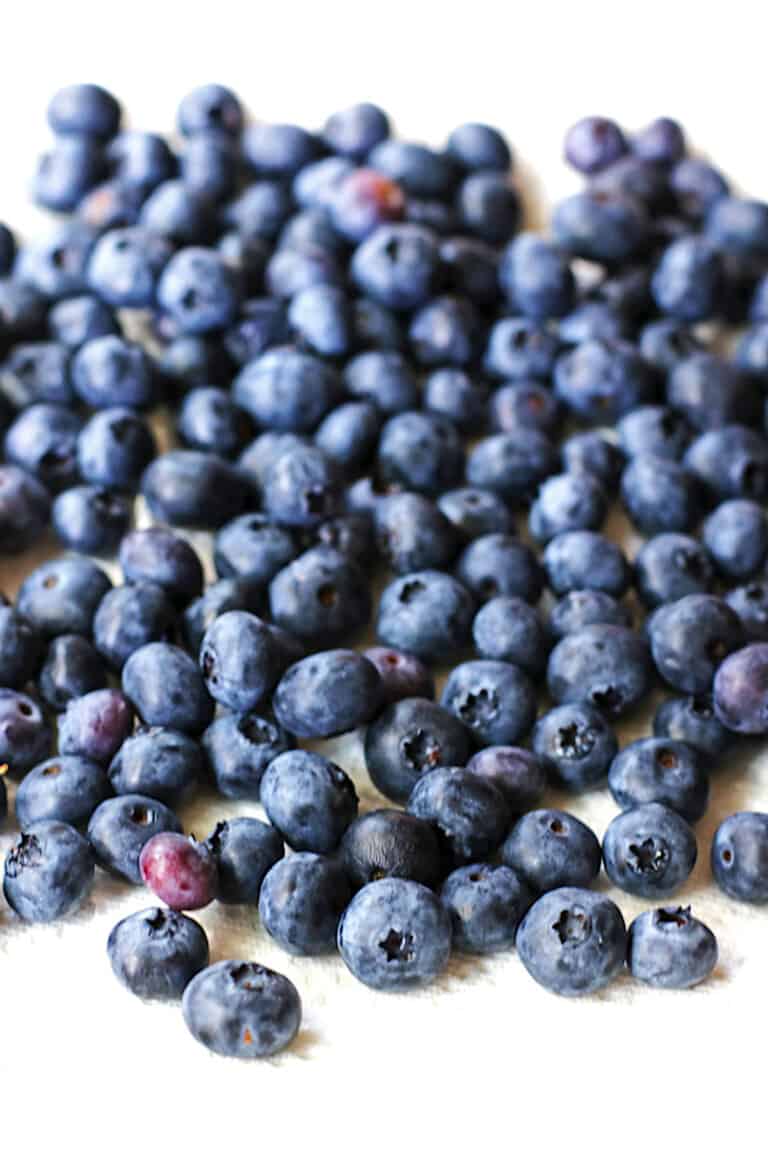 Freezing Blueberries for Smoothies and Baking - Tried and True Recipes